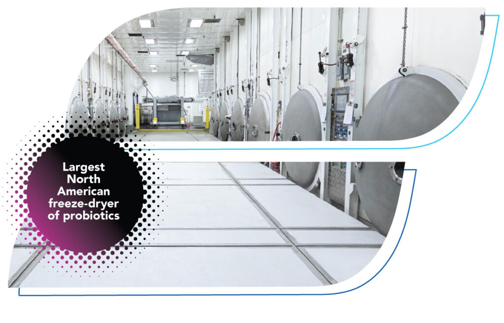 Preserve Stability & Efficacy with LyoLock Bulk Lyophilization